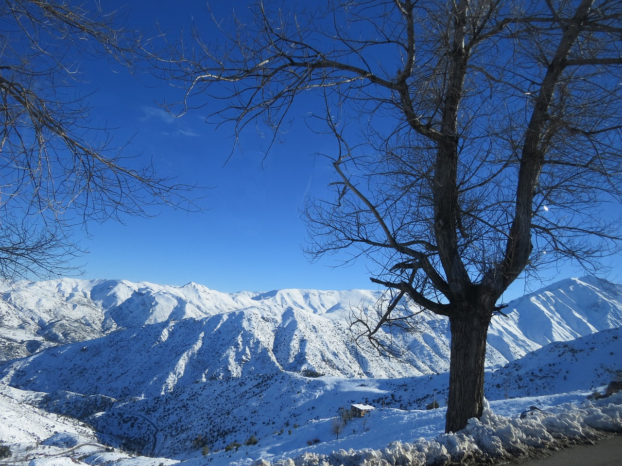 Chilean Winter Wonderland: Skiing and Snowboarding Adventures – Chilerules